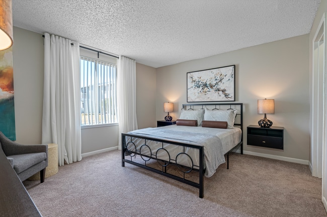 Enclave at Sabal Pointe Apartments - Saint Petersburg, FL | ForRent.com