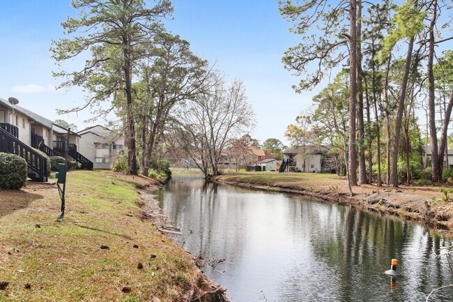 Club at Charter Pointe Apartments For Rent in Jacksonville, FL ...