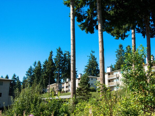Cliffside Apartments - Gig Harbor, WA | ForRent.com