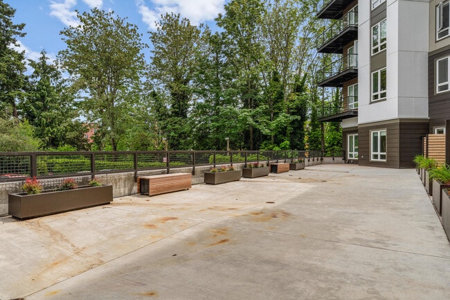 11903 NE 128th St Apartment Unit FL1-ID685 - Kirkland, WA | ForRent.com